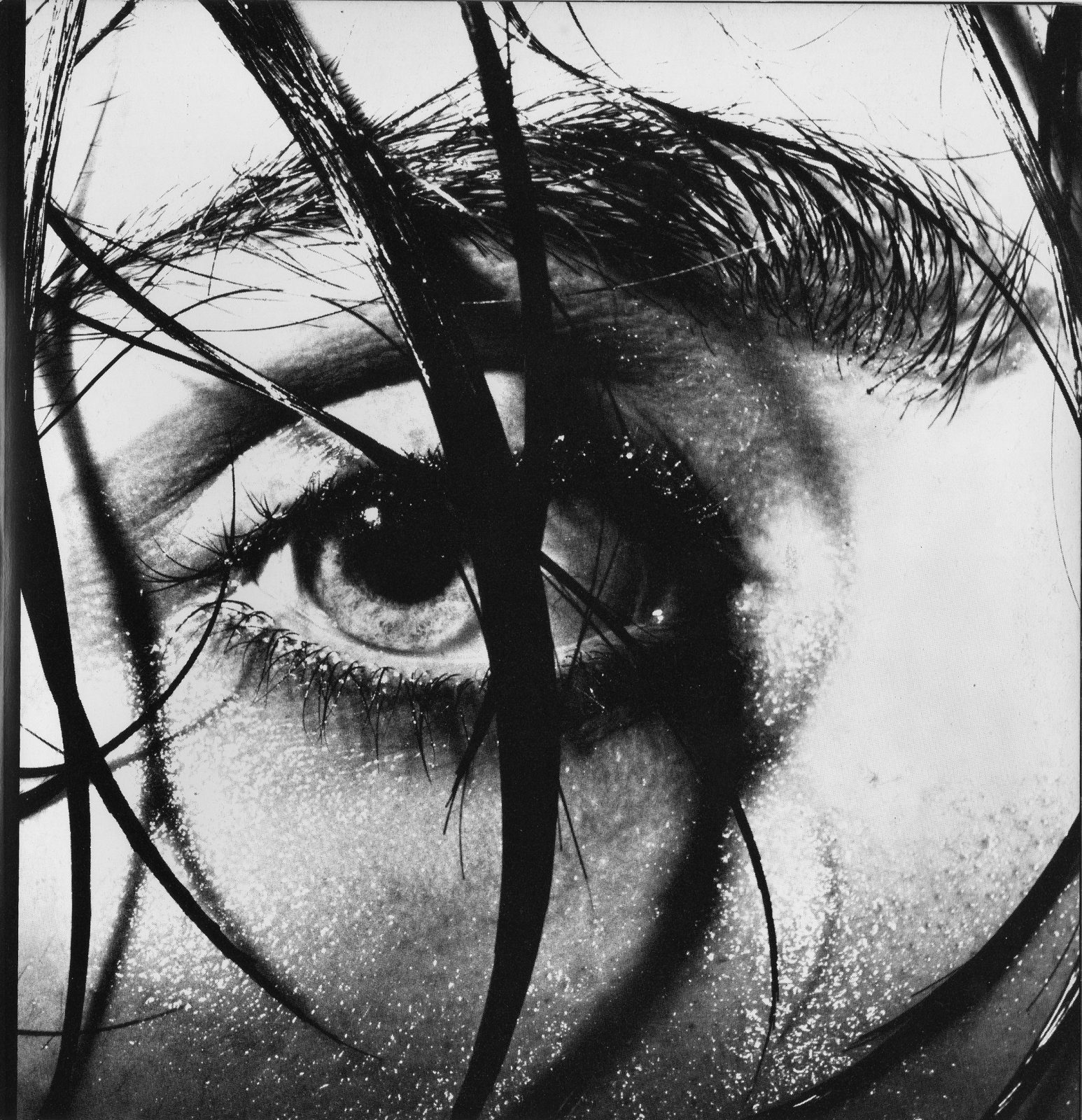 William Novak - Woodbury University